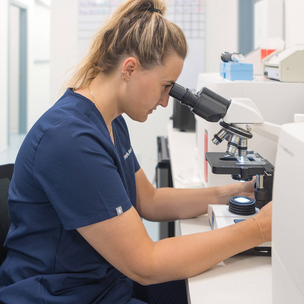 Sick Pet Care & Diagnostics In Toronto, ON | Shoreview Vet