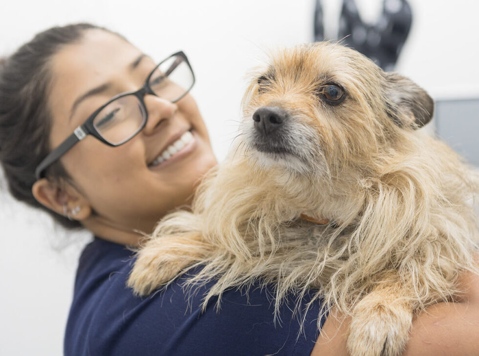 About Shoreview Veterinary | Vet In Toronto, ON M1N 1P6